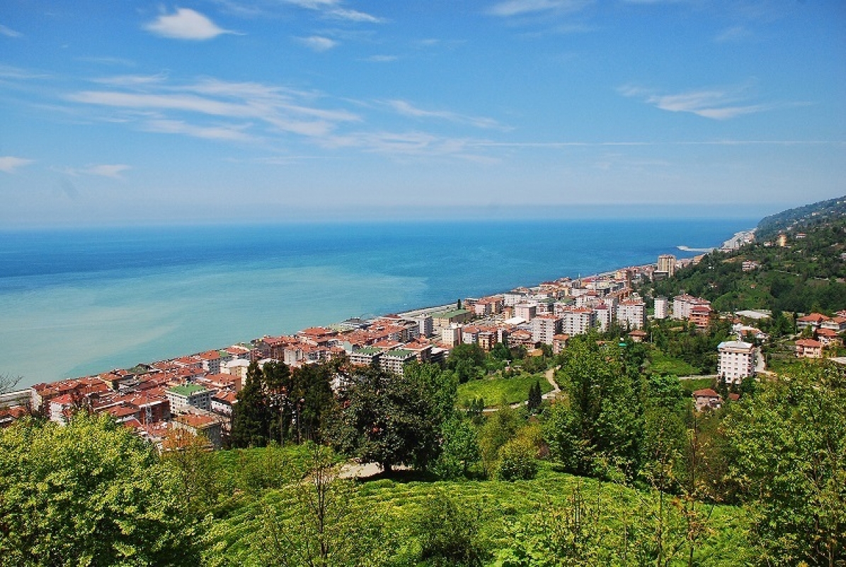 RİZE ÇAYELİ DE 1500 M2 BAĞ BAHÇE Satılık Arsa Çayeli Çayeli